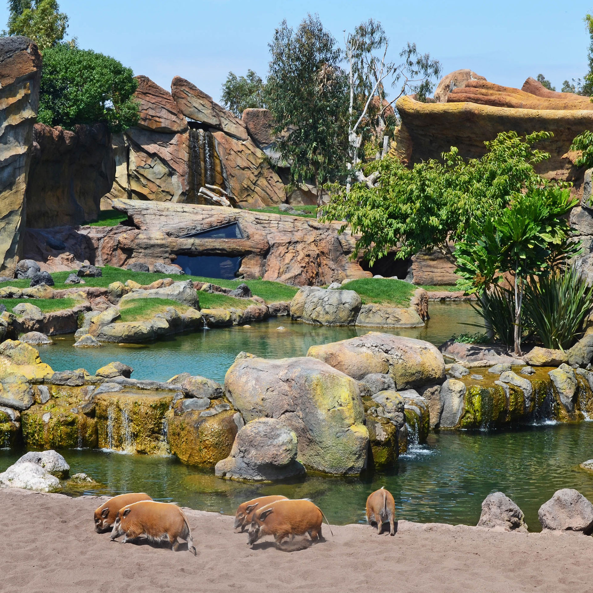 Diseño y construcción Zoológico | Amusement Logic