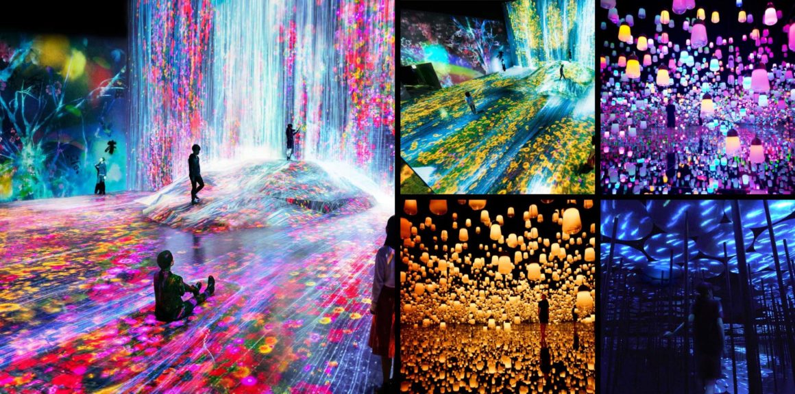 Sumérgete en el mundo del arte digital - Amusement Logic