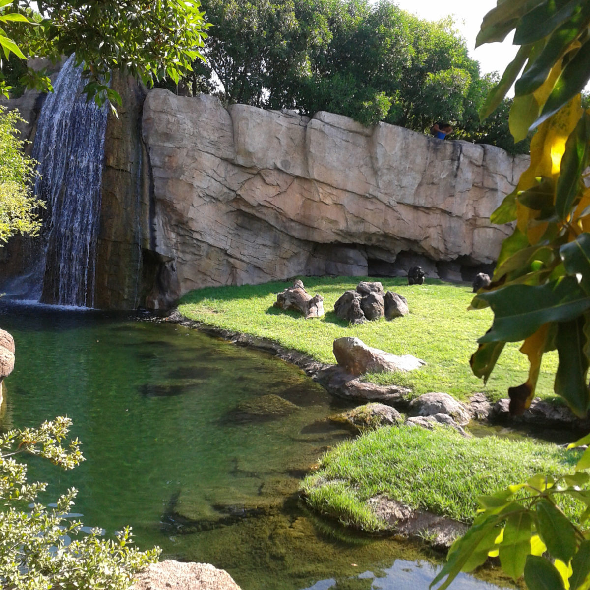 PARQUES DE ANIMALES - Amusement Logic