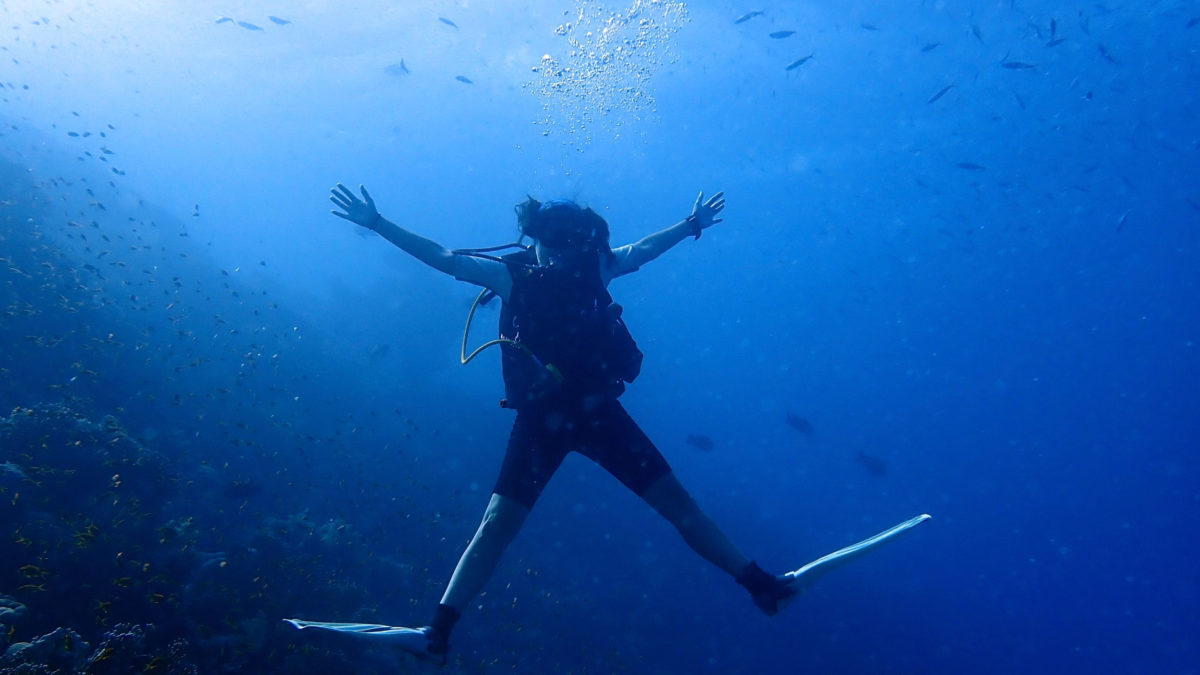Buceo en piscinas tematizadas - Amusement Logic