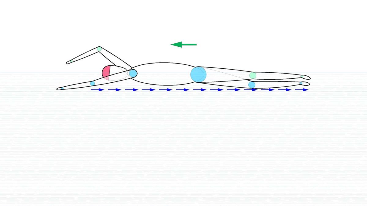 La hidrodinámica de la natación - Amusement Logic